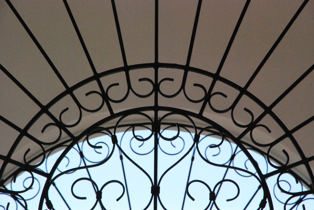 DSC_0166 - David Schechter, MD